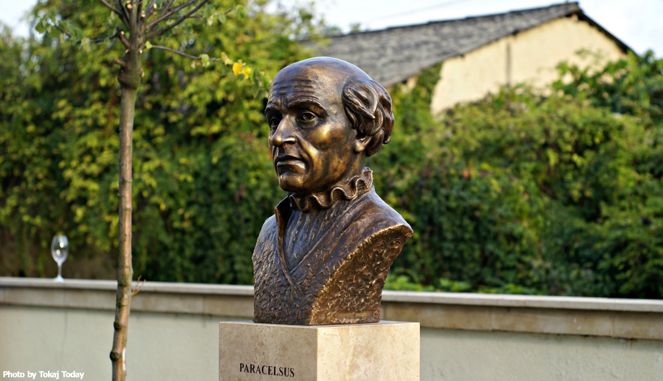 Bust of Paracelsus uneiled in Tokaj Memorial Park