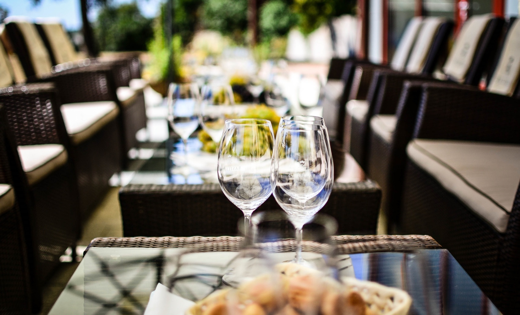 Basilicus Szőlőbirtok | birtokbemutató, borkóstoló