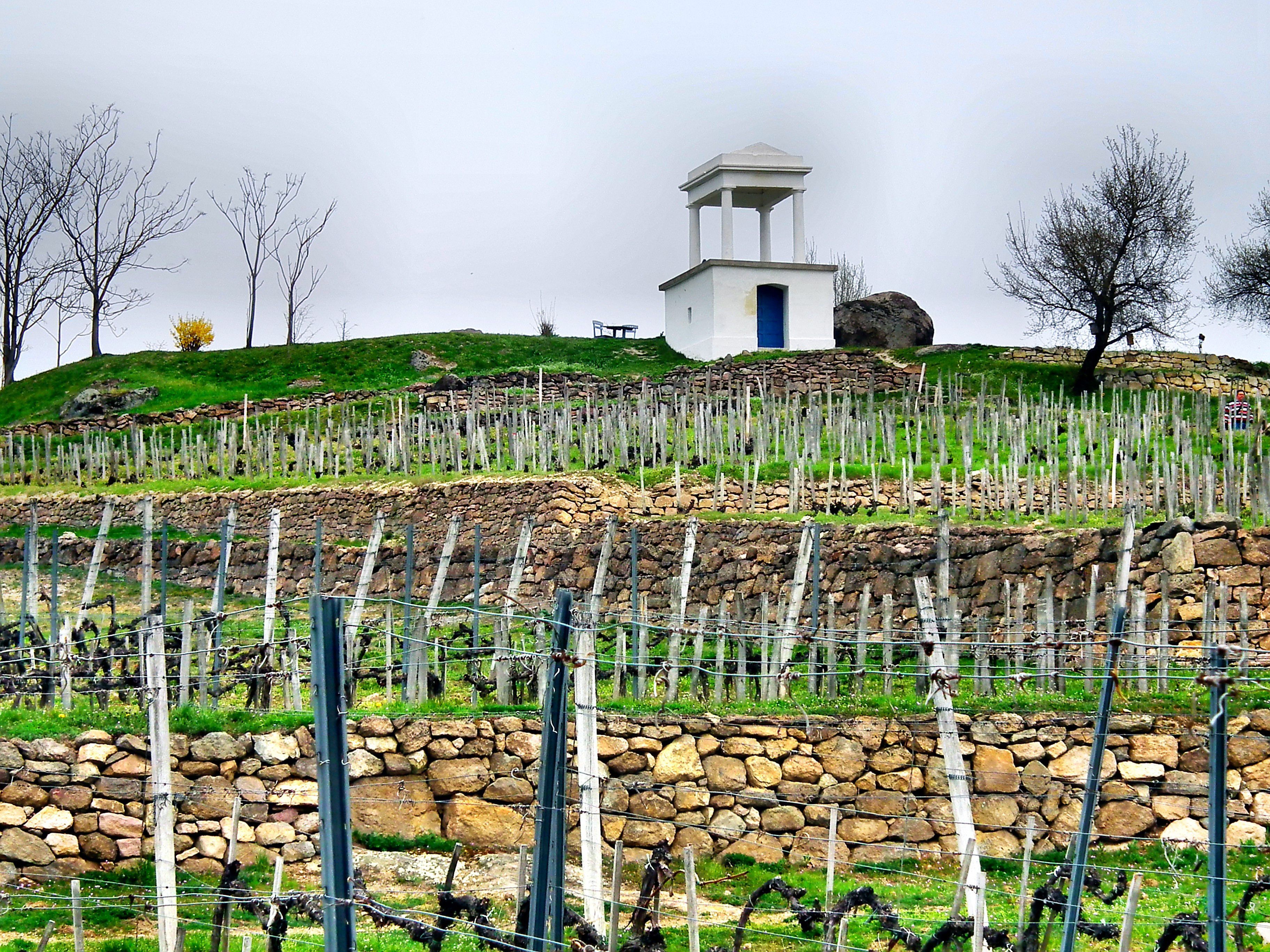 Filagória kilátó | Disznókő